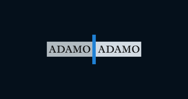 Austin & Houston Criminal Defense Attorneys | Adamo & Adamo Law Firm